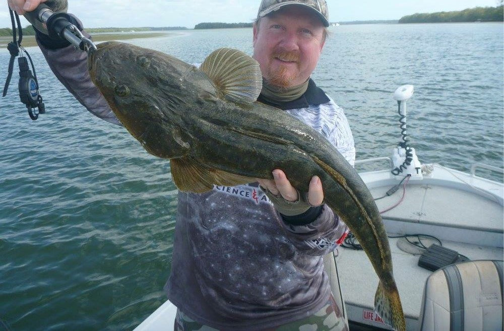 How to Catch Flathead on Lures — Tackle Tactics