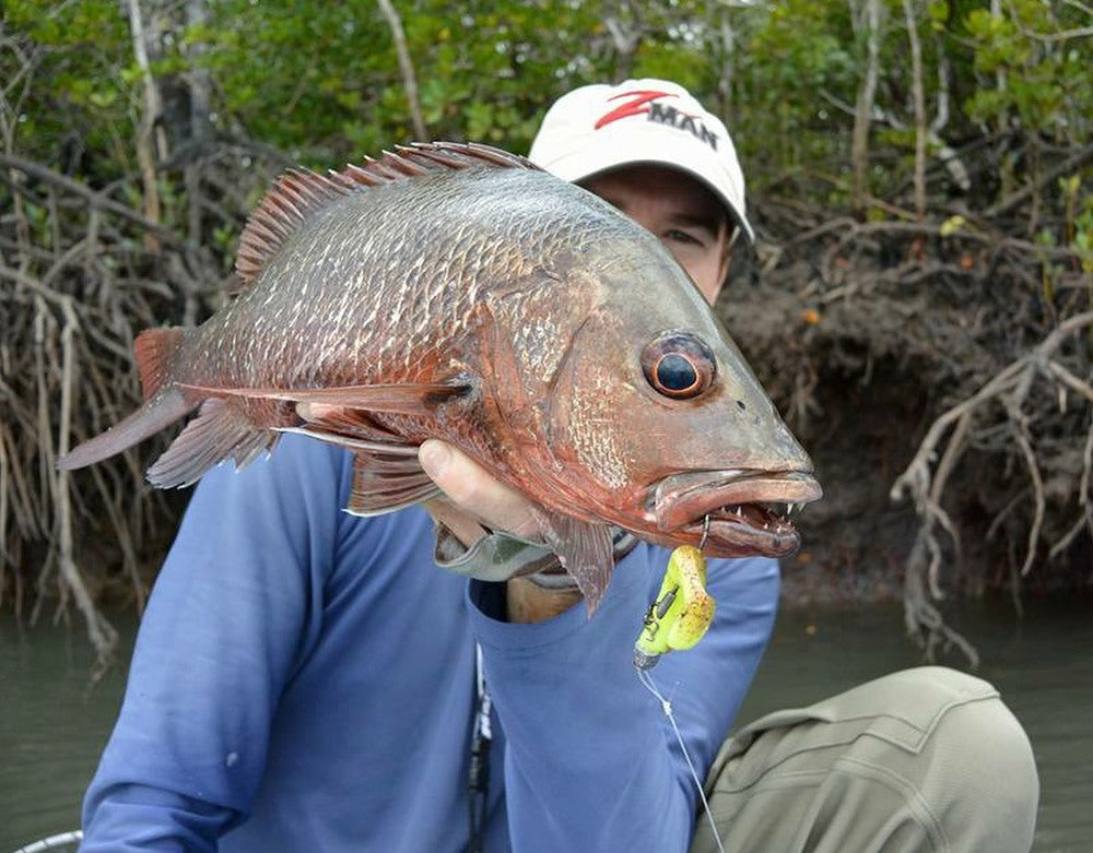 10 Tips - Weedless Rigging — Tackle Tactics
