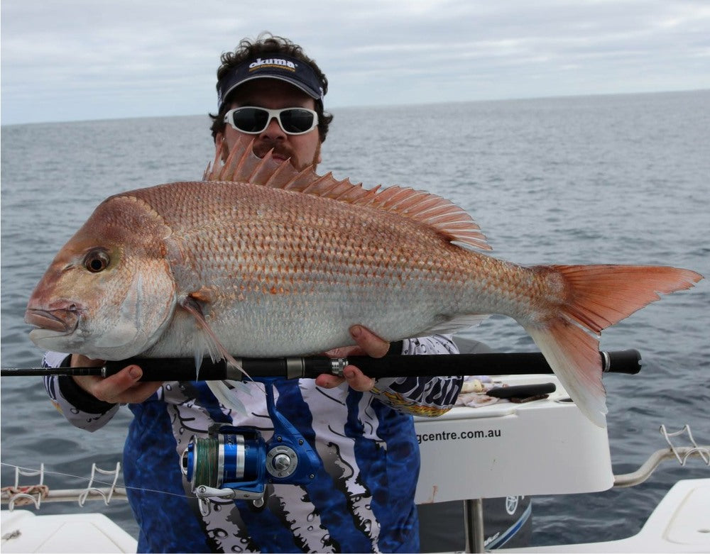 Southern Snapper on Bait — Tackle Tactics