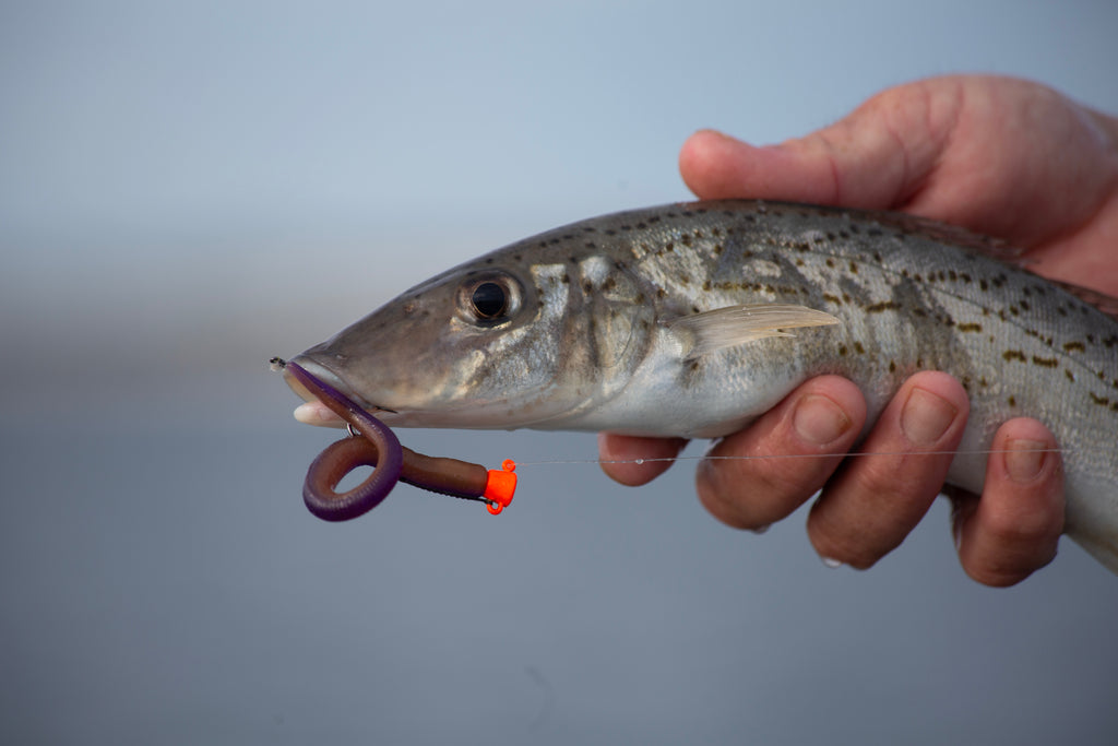 TT Y-TING JIGHEAD — Tackle Tactics