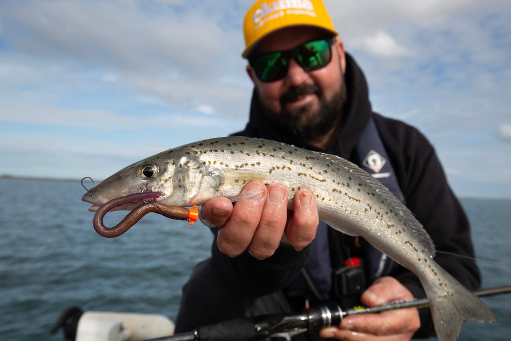 TT Y-TING JIGHEAD — Tackle Tactics