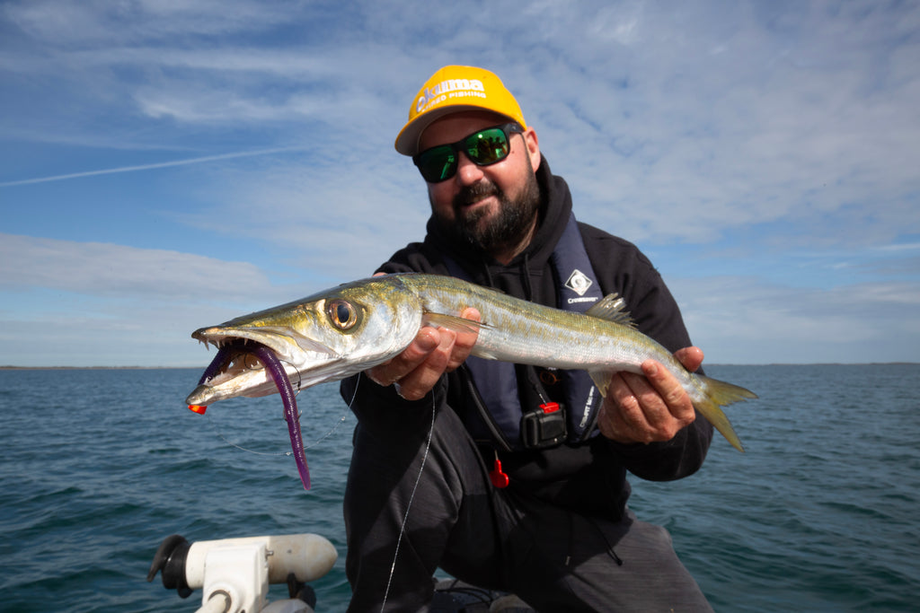 Y-TING ASSIST — Tackle Tactics