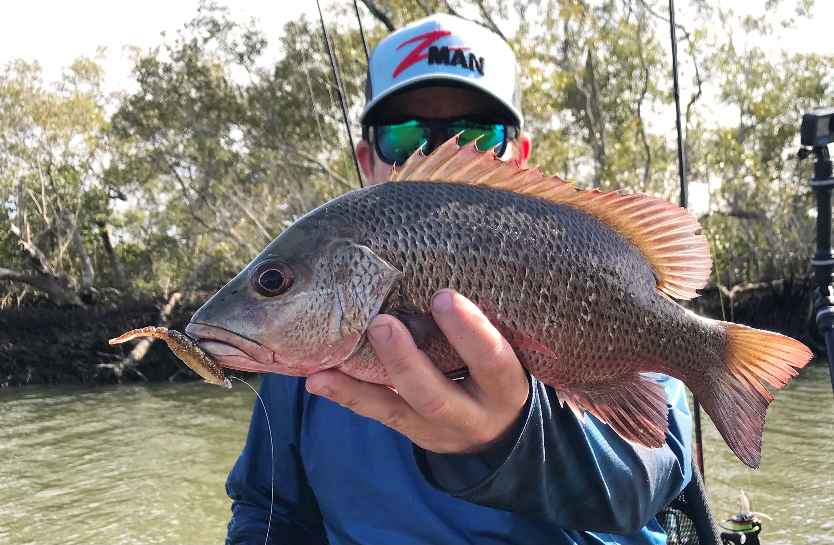 ZMan Lures — Tackle Tactics